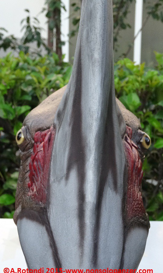 125 Pterosaurus Tapejaridae – NonSoloPanzer