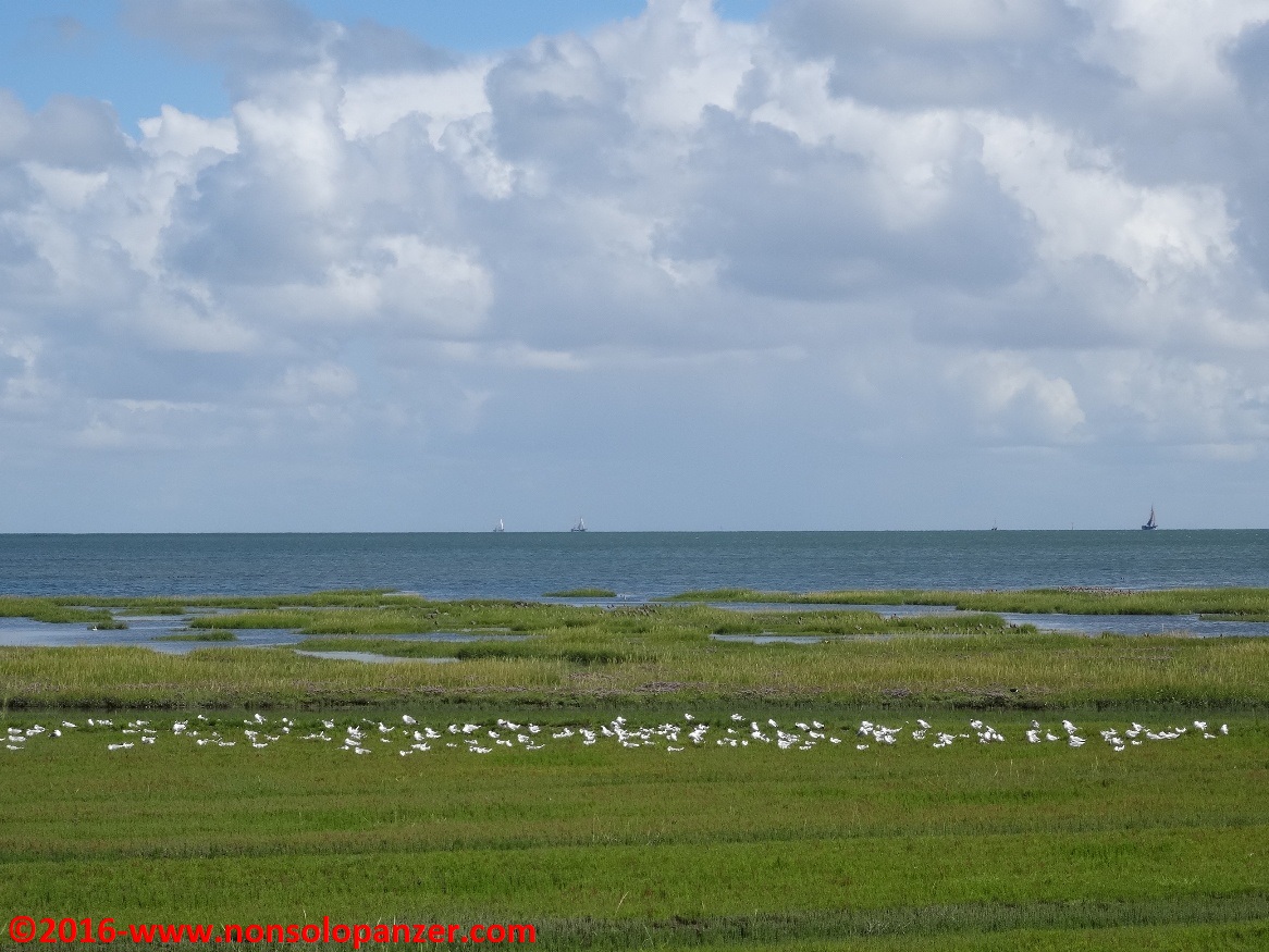 073 Isole Frisone – NonSoloPanzer