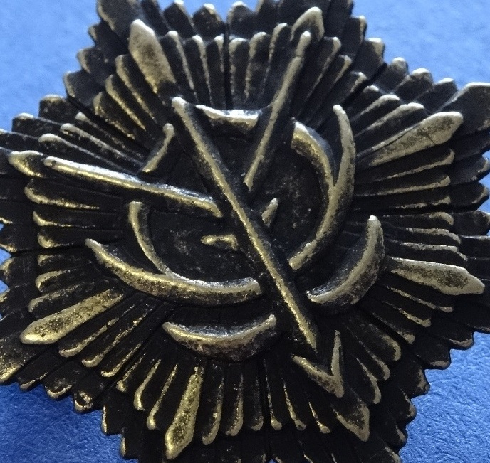 Principality of Zeon Pin Badge n.2 – COSPA – NonSoloPanzer